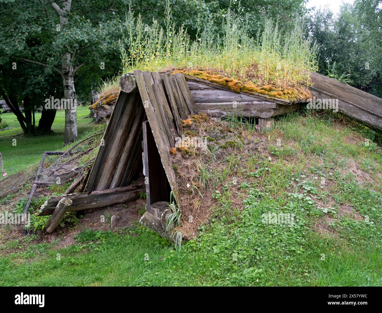 Entrance to the wooden cellar, traditional underground storage for food ...