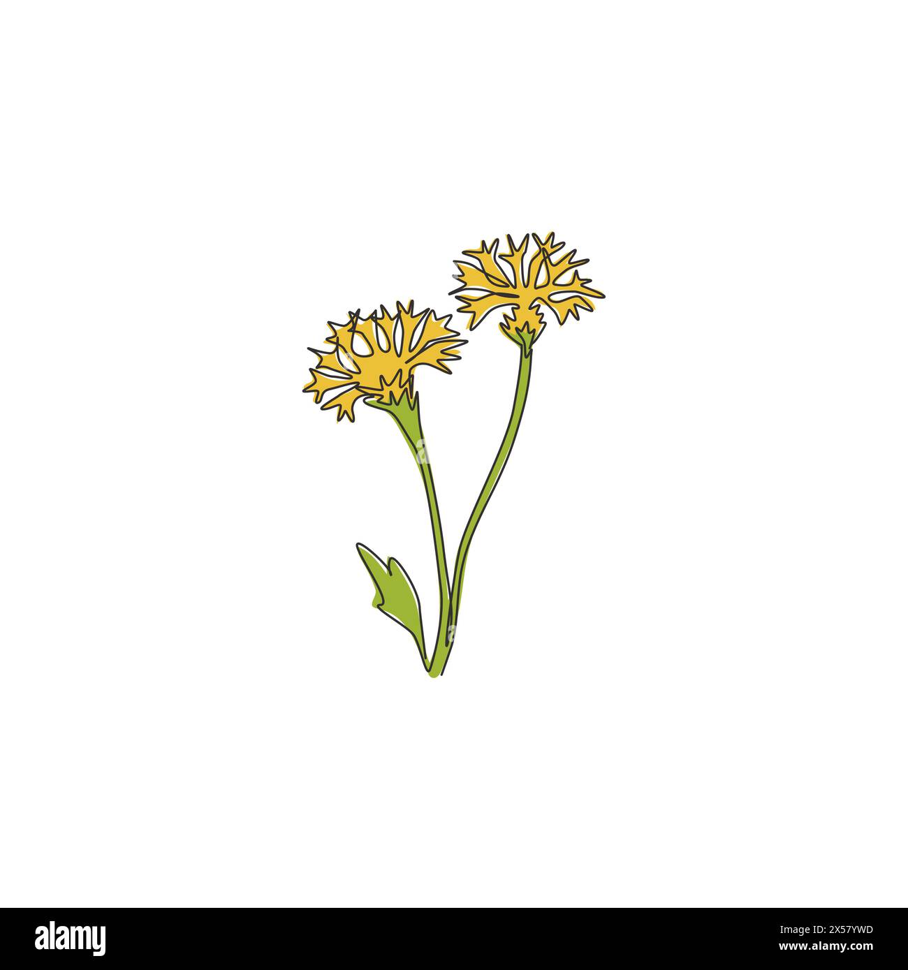 One continuous line drawing beauty fresh tagetes erecta for wall decor ...