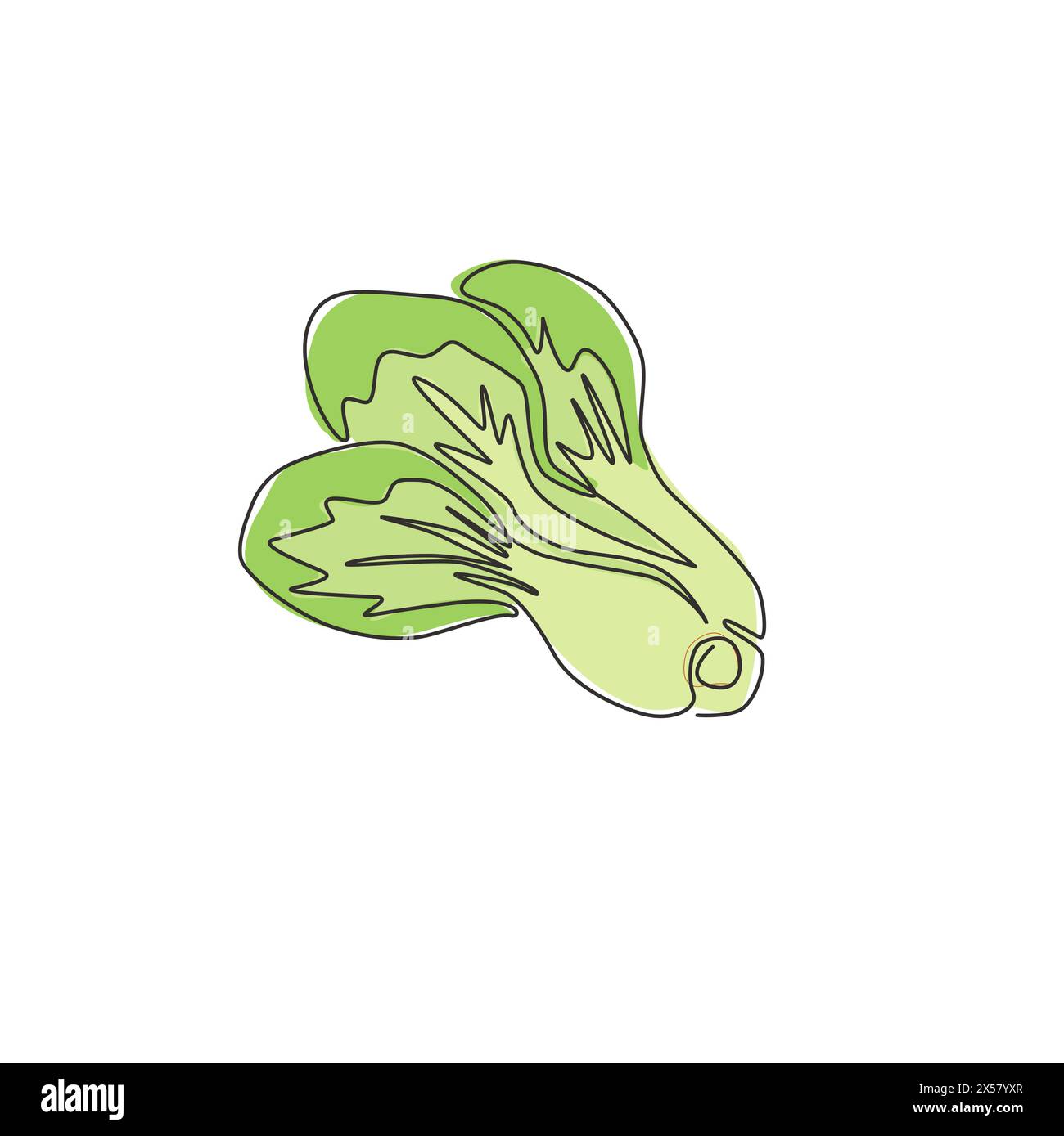 Baby pak choy Stock Vector Images - Alamy