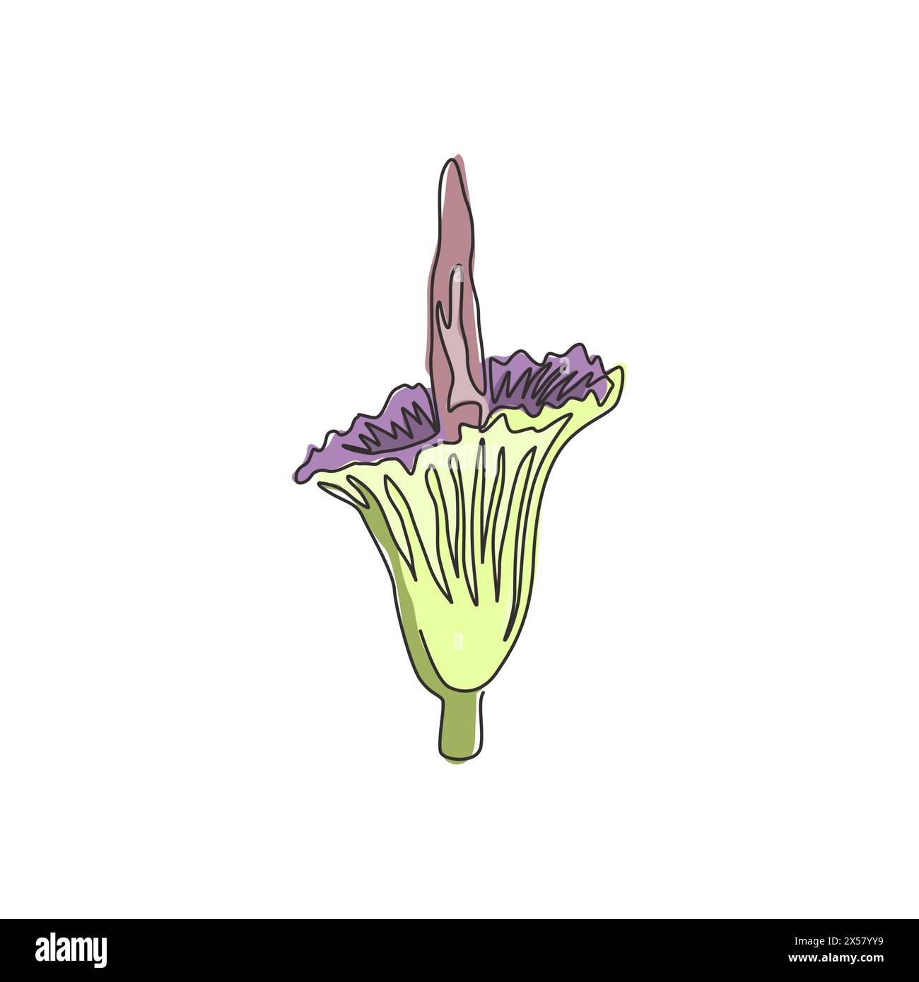 Corpse flower illustration hi-res stock photography and images - Alamy