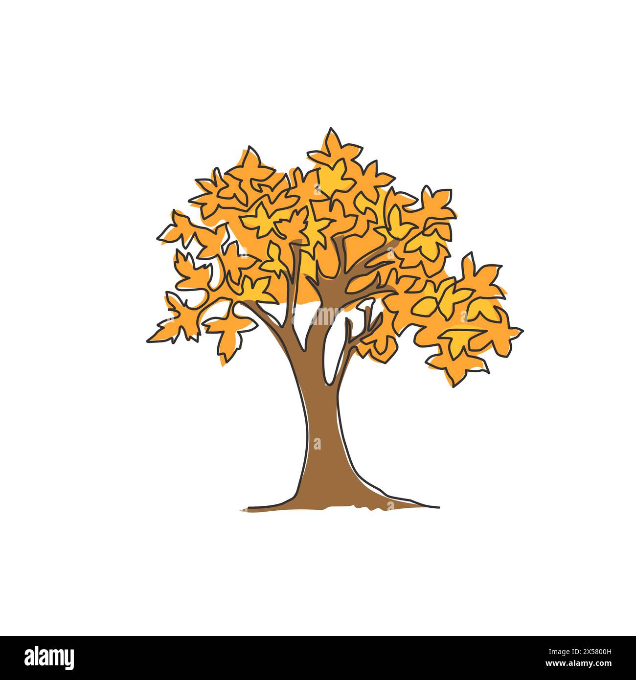 Single continuous line drawing of big beauty exotic maple tree for home ...