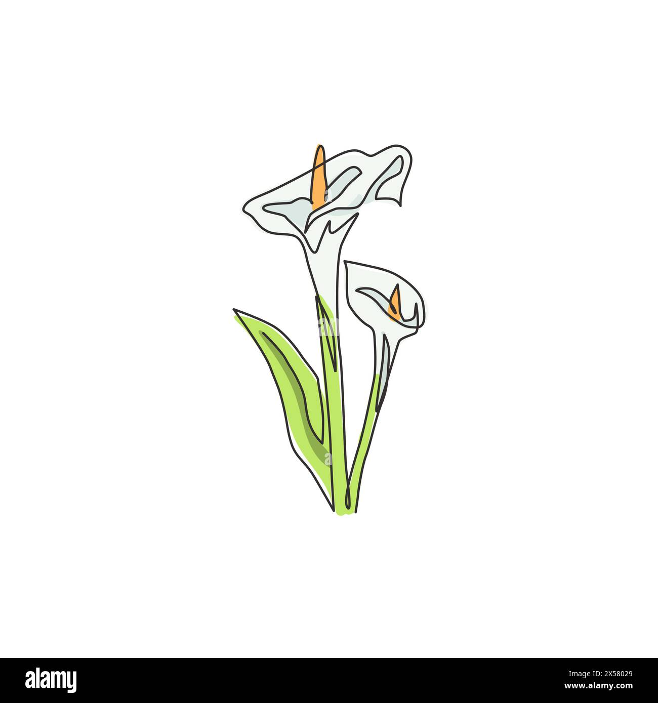 One Continuous Line Drawing Beauty Fresh Zantedeschia For Home Wall