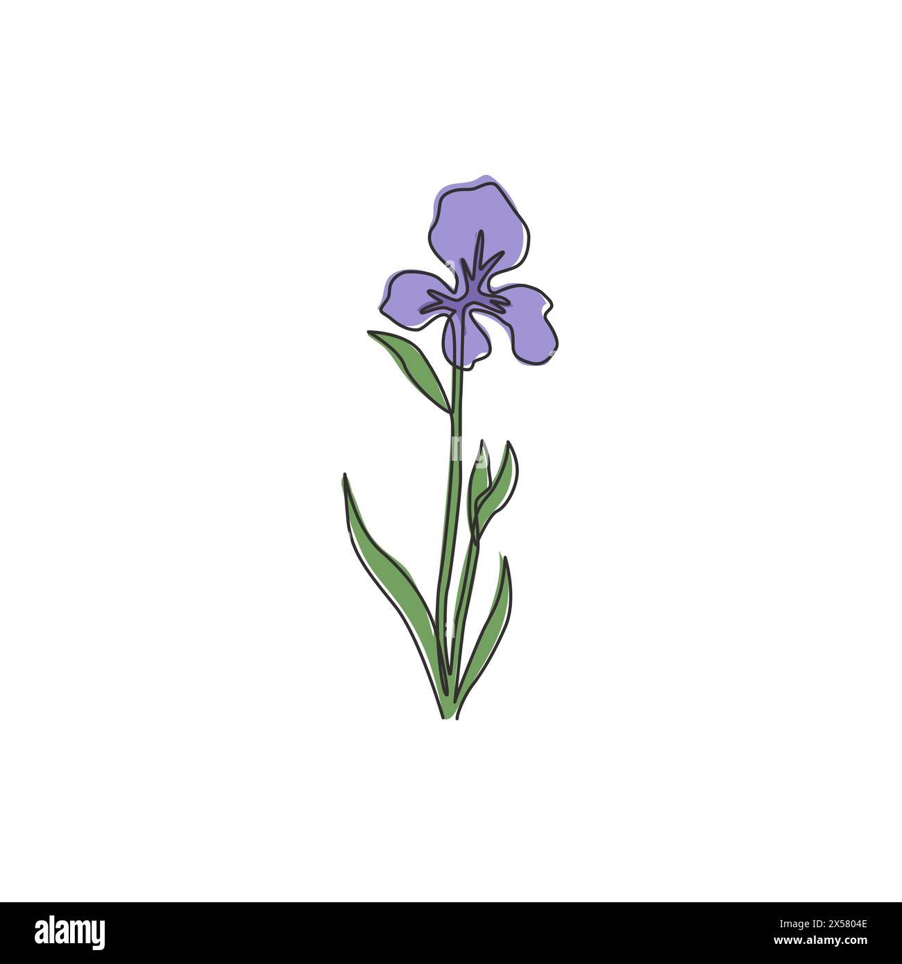 One continuous line drawing beauty fresh perennial plants for wall ...