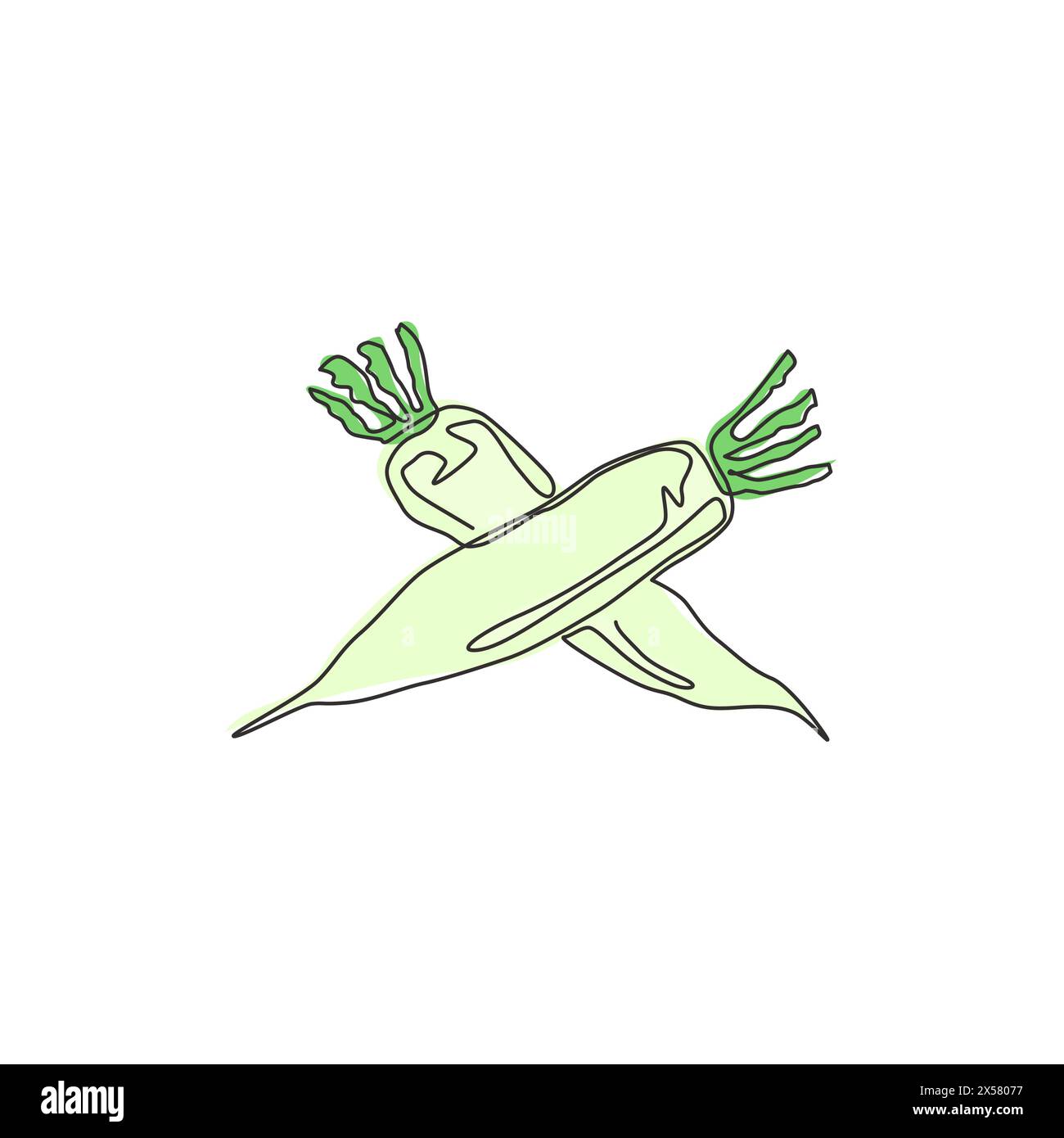 Single continuous line drawing of whole healthy organic white radish ...