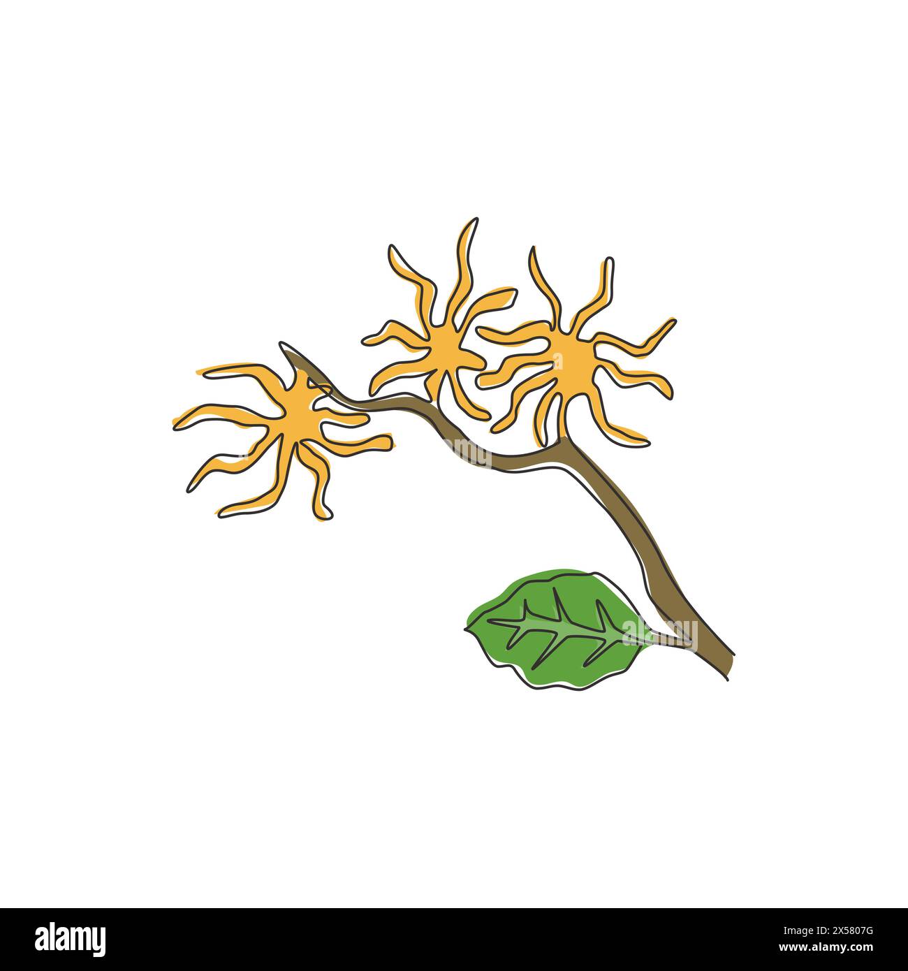 Hazel park Stock Vector Images - Alamy