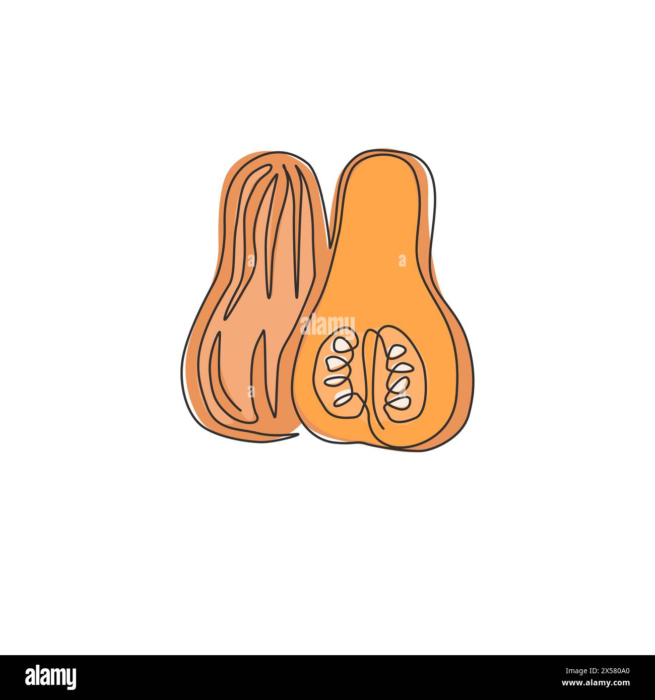 One single line drawing of whole and sliced healthy organic butternut ...