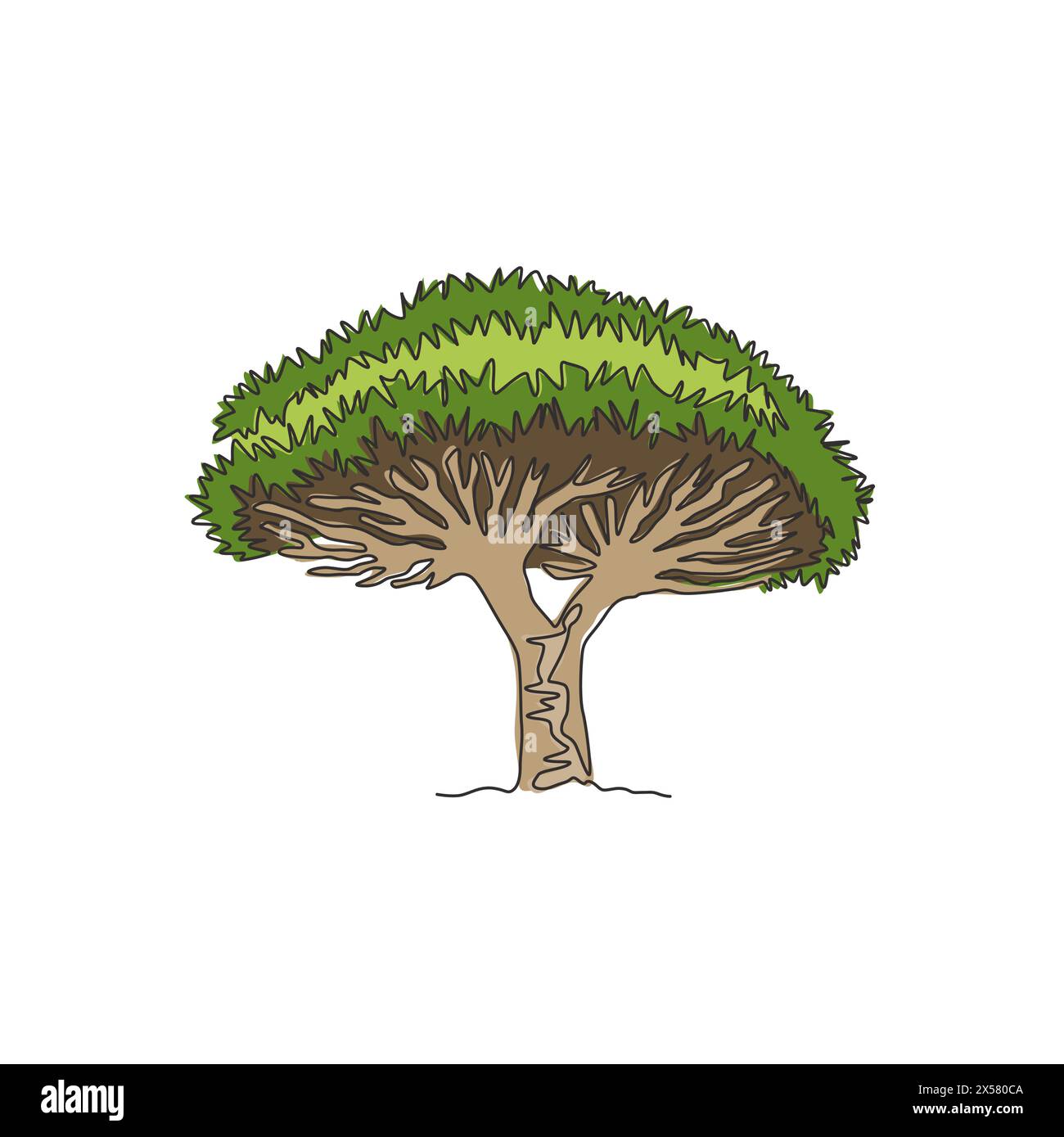 Line exotic tree branches Cut Out Stock Images & Pictures - Alamy