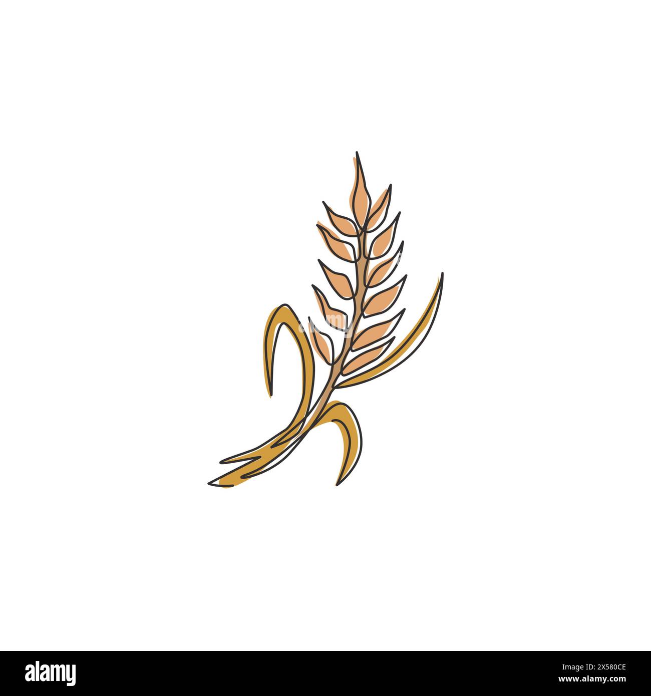 Rice plant healthy line Stock Vector Images - Alamy