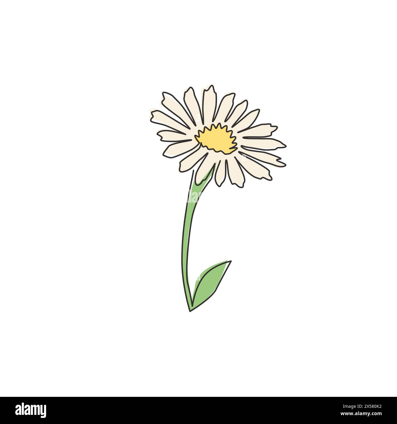 Single continuous line drawing of beauty fresh bellis perennis for home ...