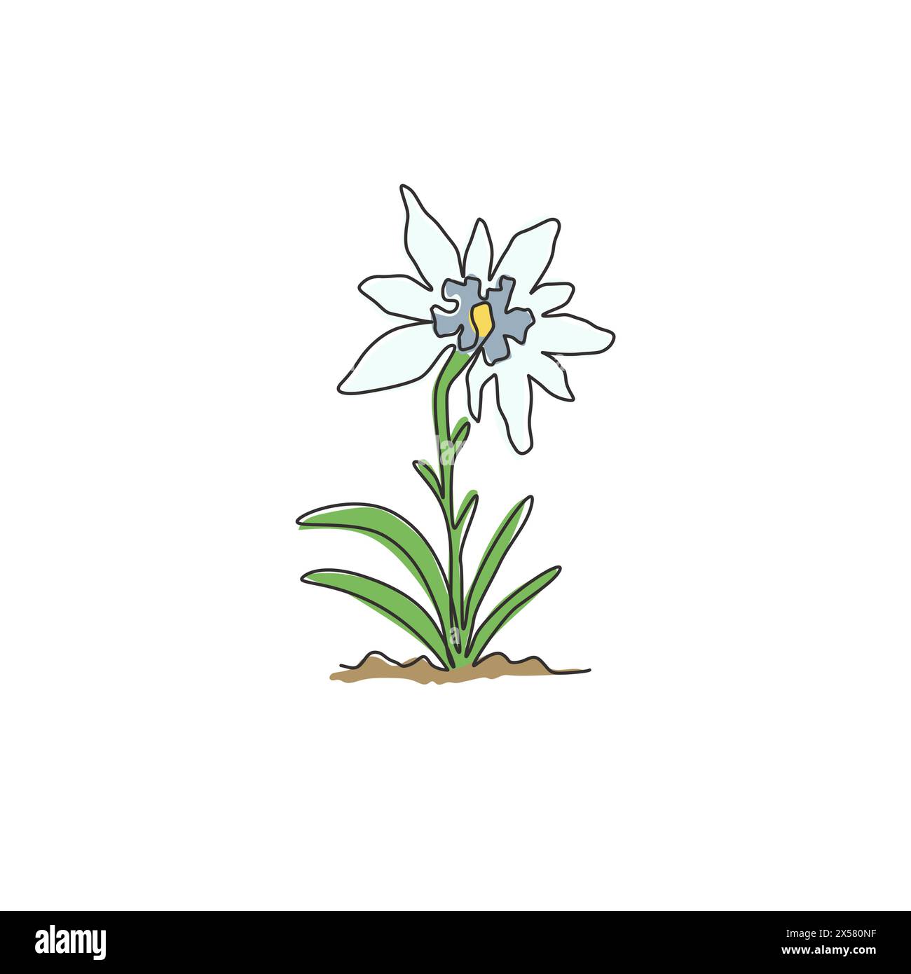 Single one line drawing beauty and exotic mountain leontopodium plant ...