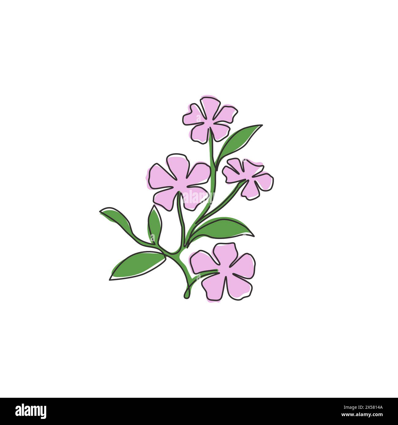 Single One Line Drawing Of Beauty Fresh Catharanthus For Garden Logo