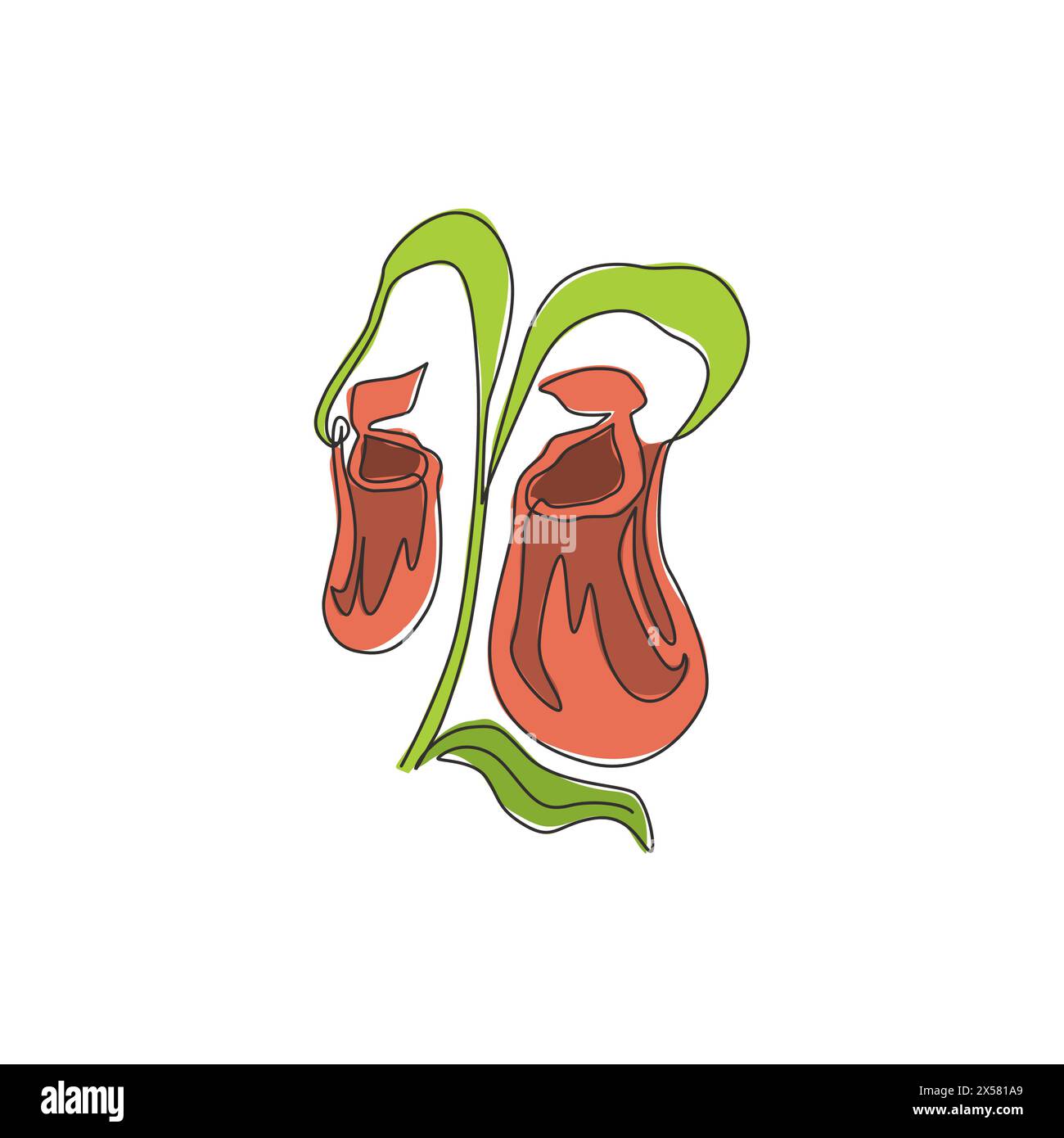 Nepenthes insect Stock Vector Images - Alamy