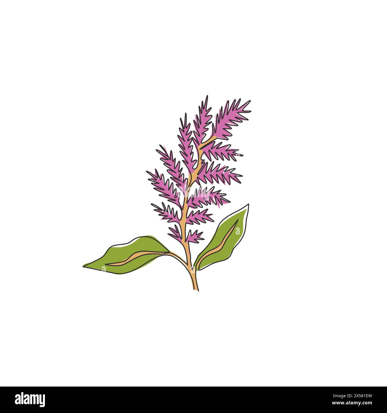 One continuous line drawing of beauty fresh amaranthus for home wall ...