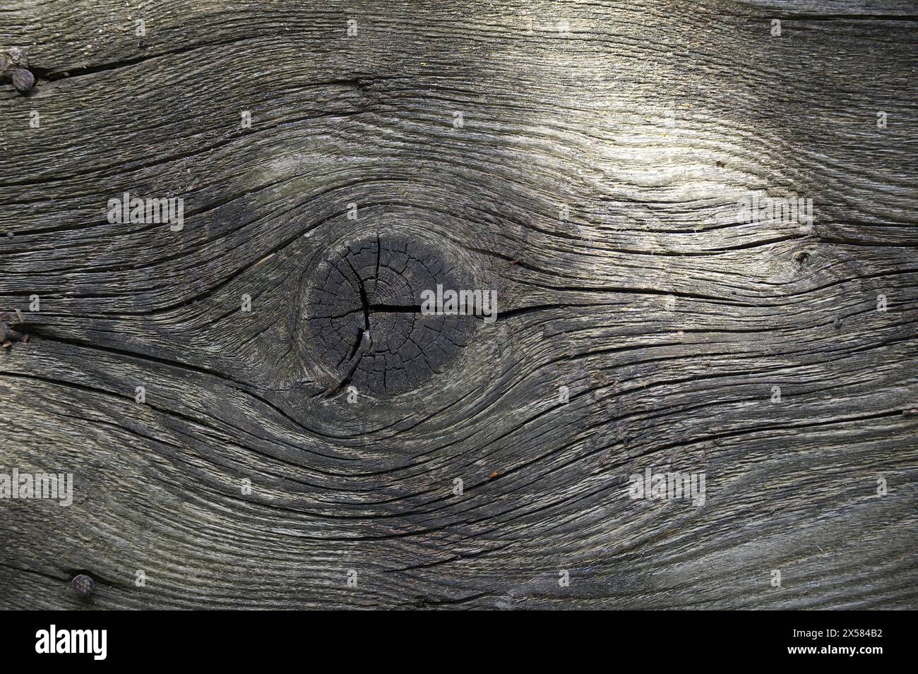 Detailed view of a piece of aged wood with a gray-brown coloration that ...