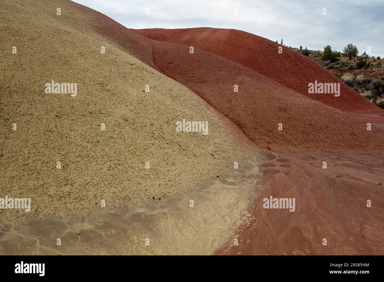 Paleosols (ancient soils) in the John Day Fossil Beds National Monument ...