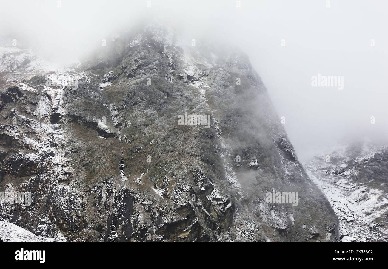 frosty and foggy alpine landscape, scenic high altitude himalaya ...
