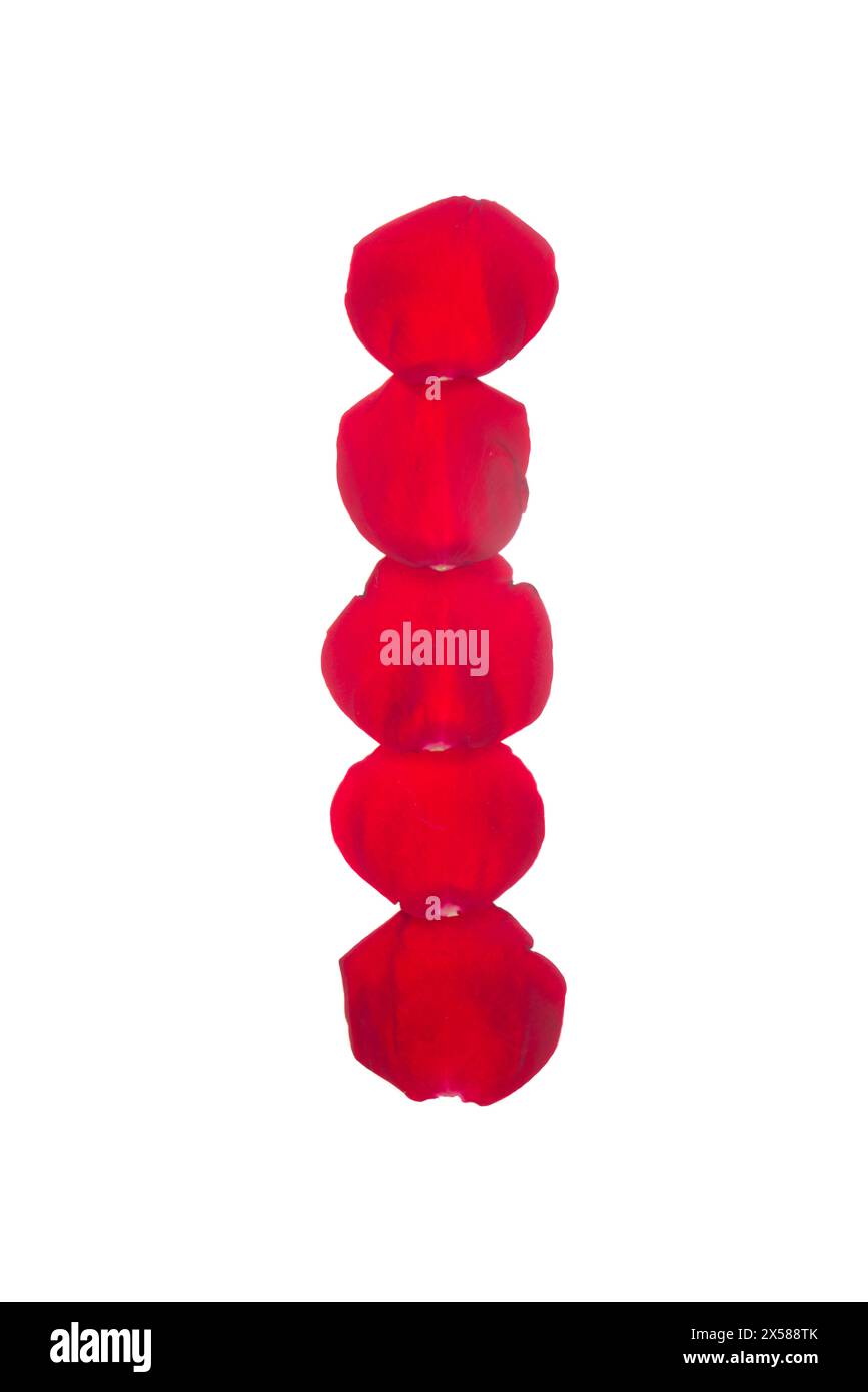 Letter I formed of red rose petals of white background. Symbolizes ...