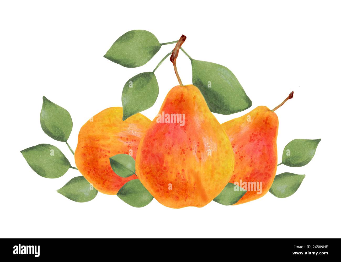Composition of yellow pears with leaves. Botanical watercolor ...