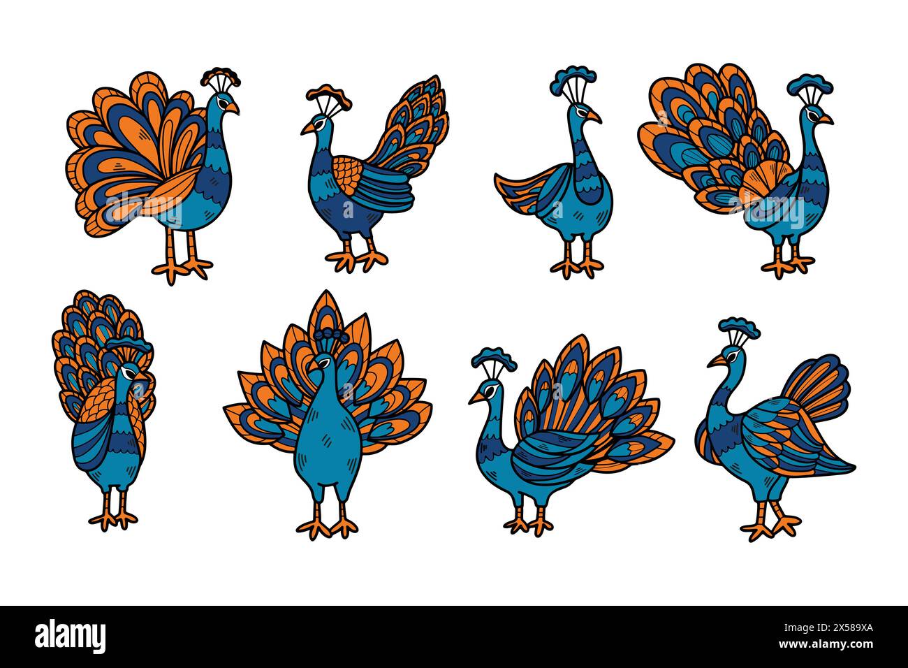 A set of black and white drawings of peacocks. The drawings are all ...