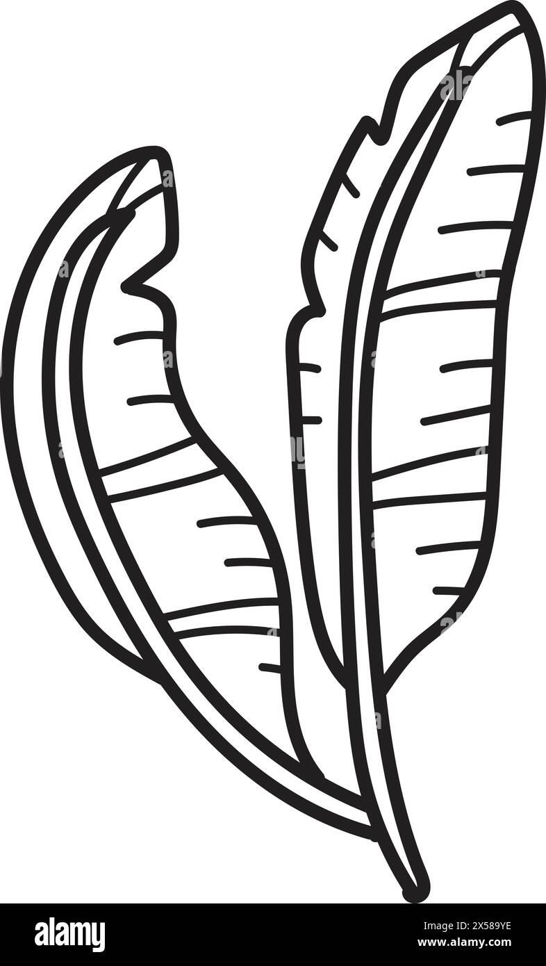 A leafy plant with a black outline. The leaf is drawn in a stylized way ...