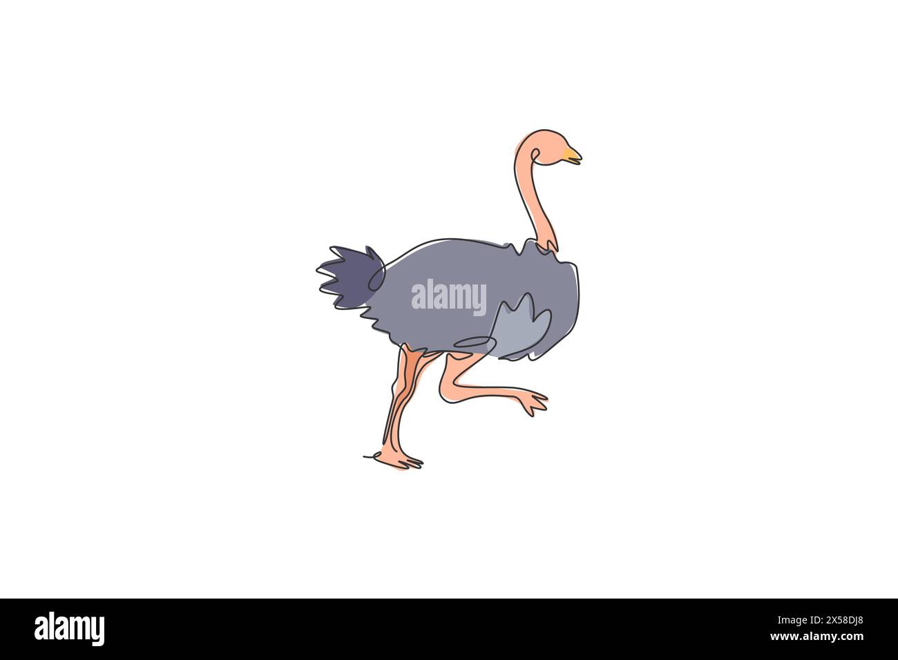 Single continuous line drawing of cut ostrich bird run fast. Endangered ...