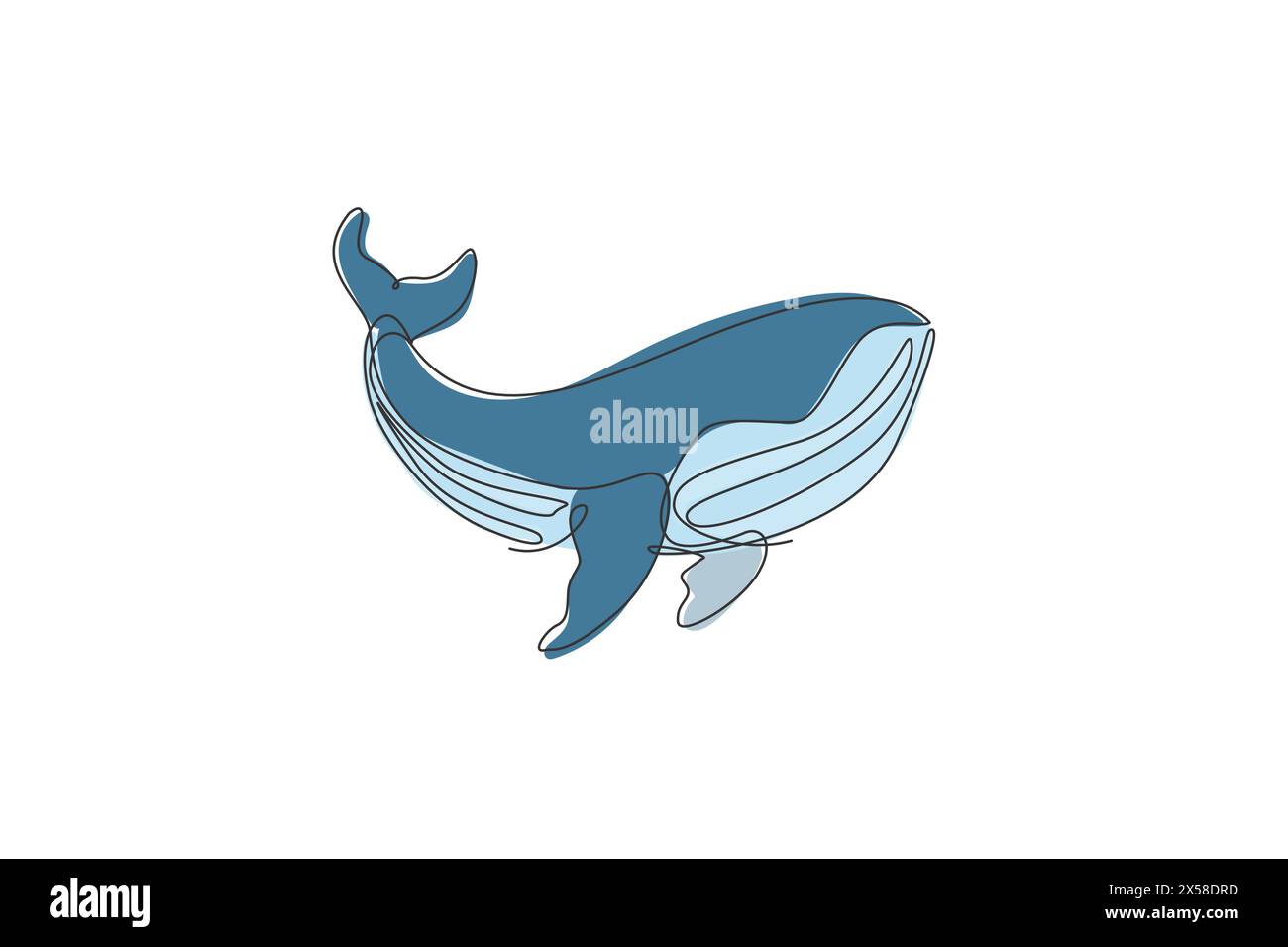 One continuous line drawing of big giant blue whale. Protected mammal ...
