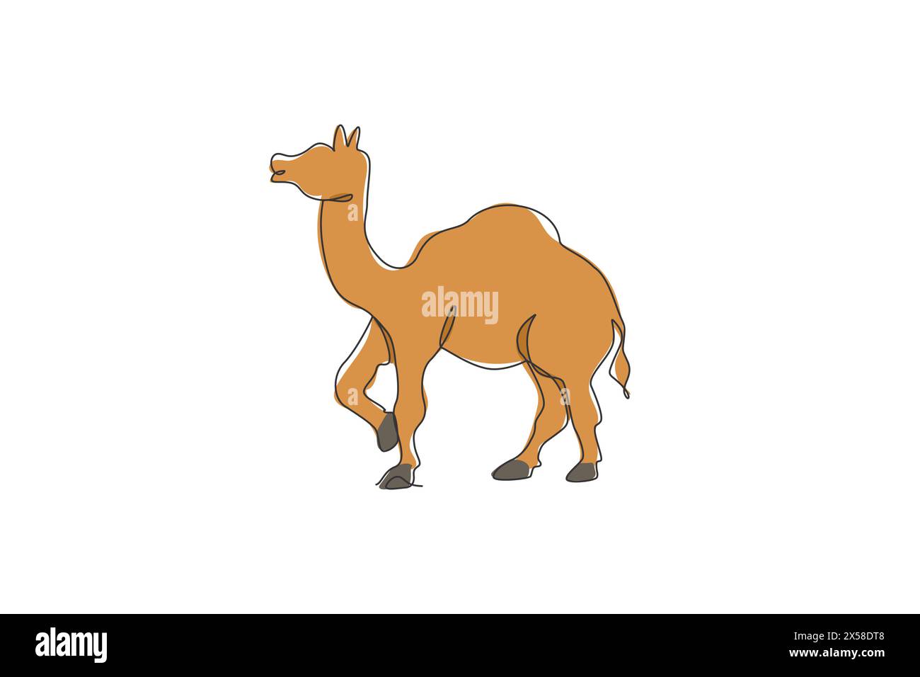 Single continuous line drawing of wild Arabian camel. Endangered animal ...
