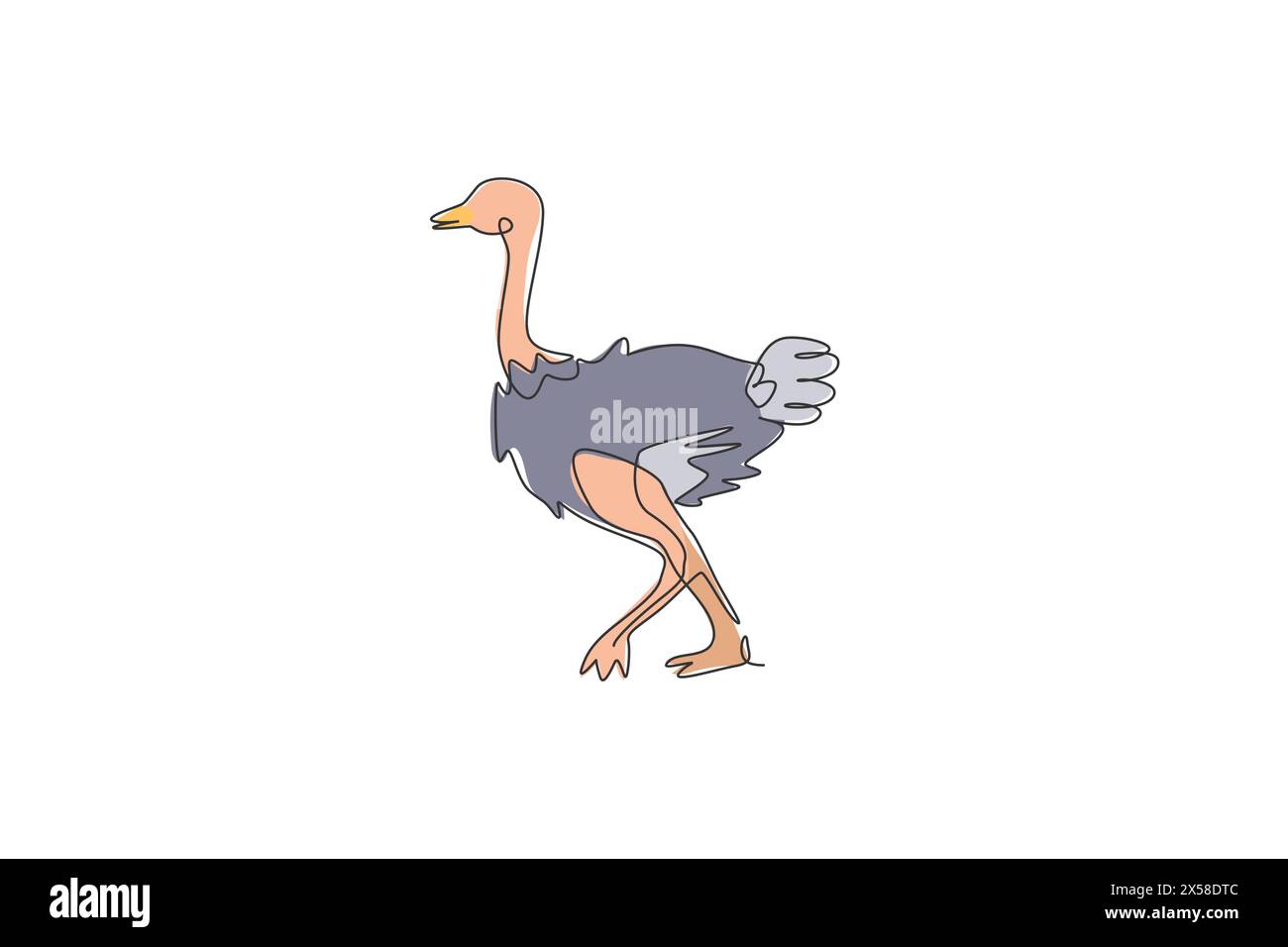 Single continuous line drawing of cute big ostrich bird. Endangered ...