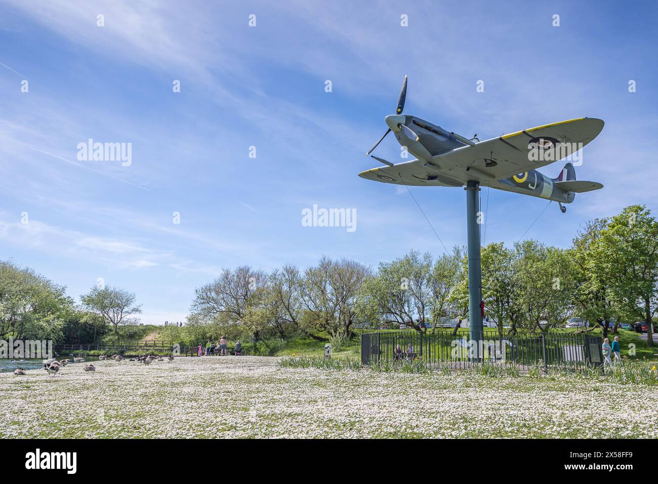A replica Spitfire fighter aircraft from WW2 pictured on the edge of ...