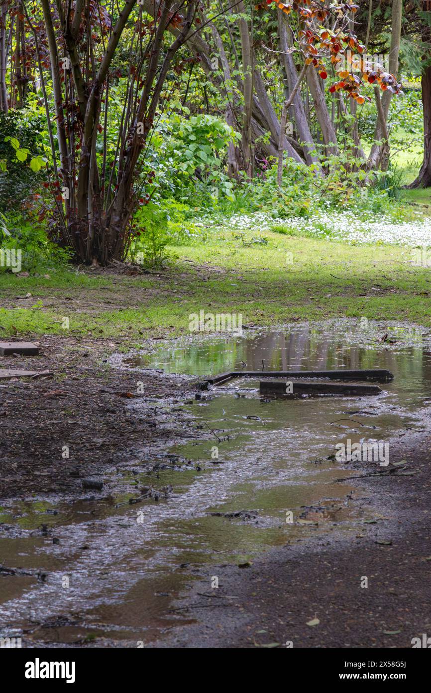 Water leaking from under a drain cover on Christ's Pieces, Cambridge ...