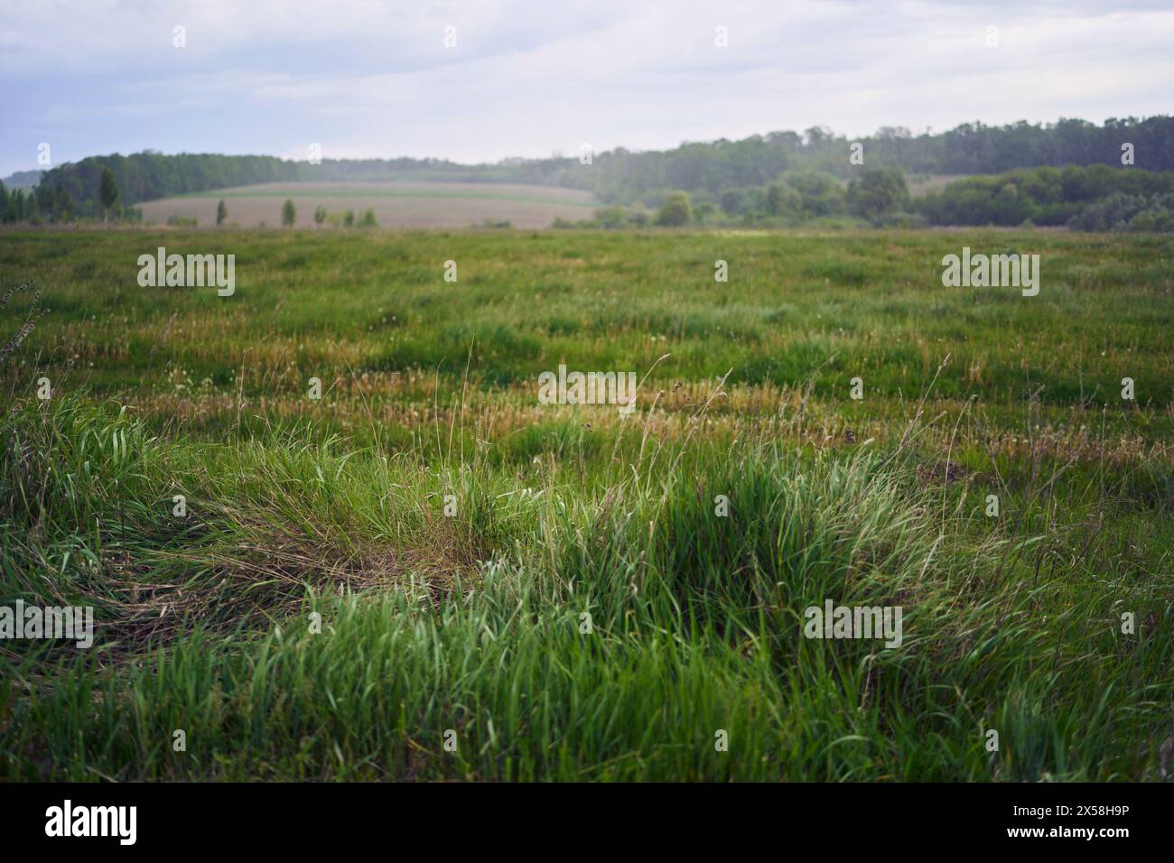 summer storm from the car window Stock Photo - Alamy