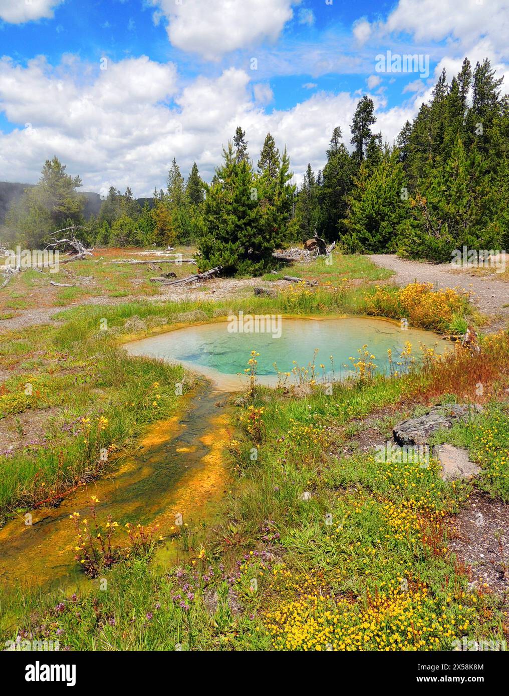 pinto spring in the cascade group of the upper geyser basin ...
