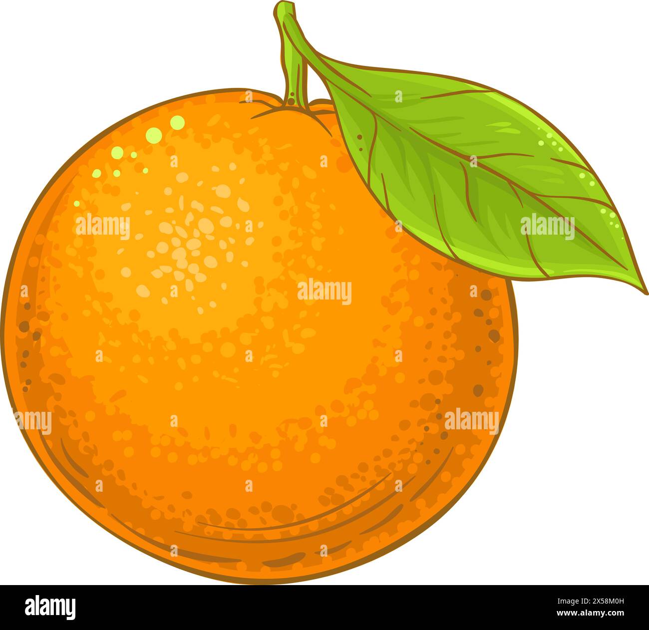 Orange Fruit Colored Detailed Illustration Stock Vector Image & Art - Alamy Orange Fruit Colored Detailed Illustration Stock Vector Image & Art - Alamy