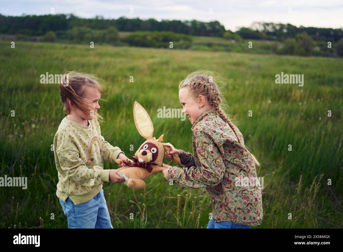 two sisters fight over a toy bunny Stock Photo - Alamy
