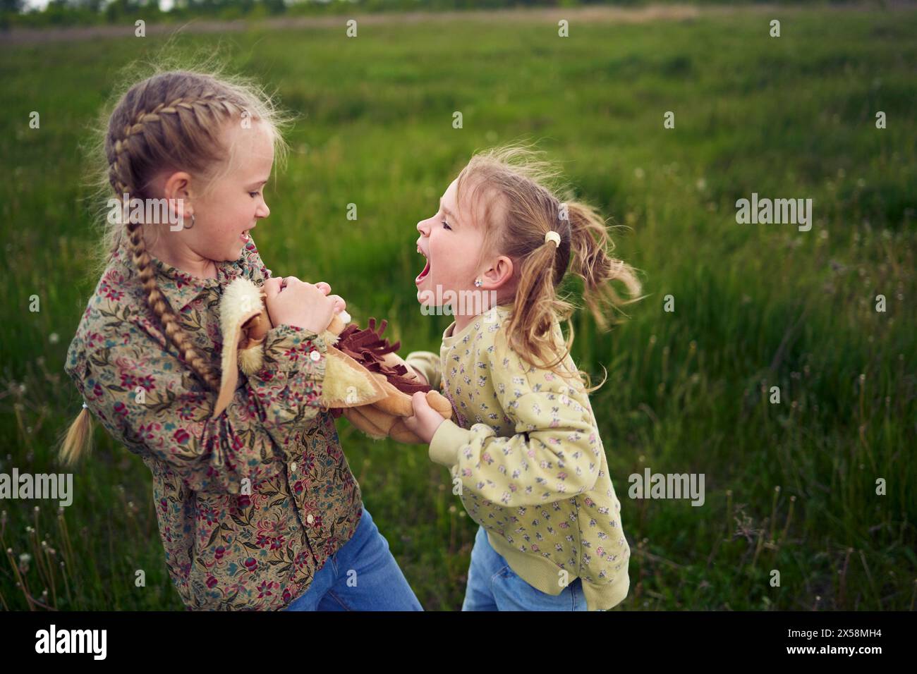 two sisters fight over a toy bunny Stock Photo - Alamy