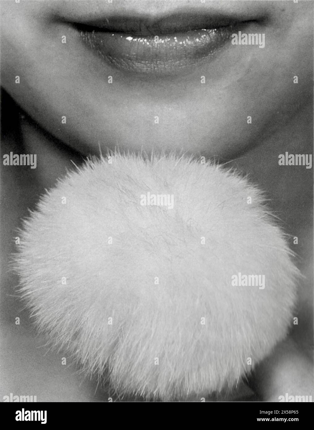 Ken domon hi-res stock photography and images - Alamy