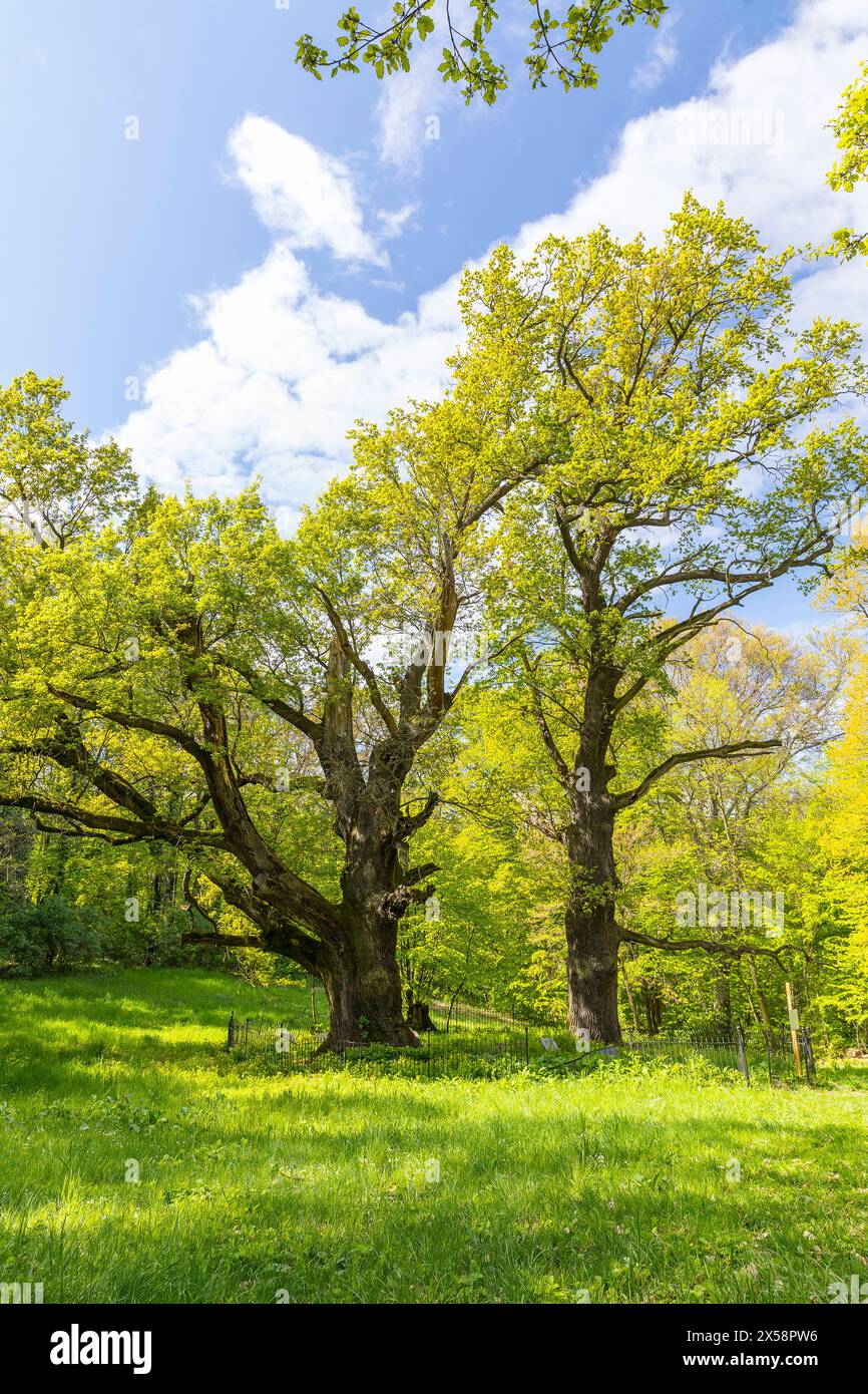 Tal der trauer hi-res stock photography and images - Alamy