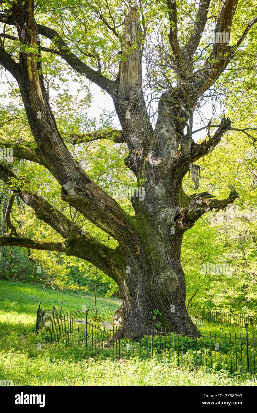 Tal der trauer hi-res stock photography and images - Alamy