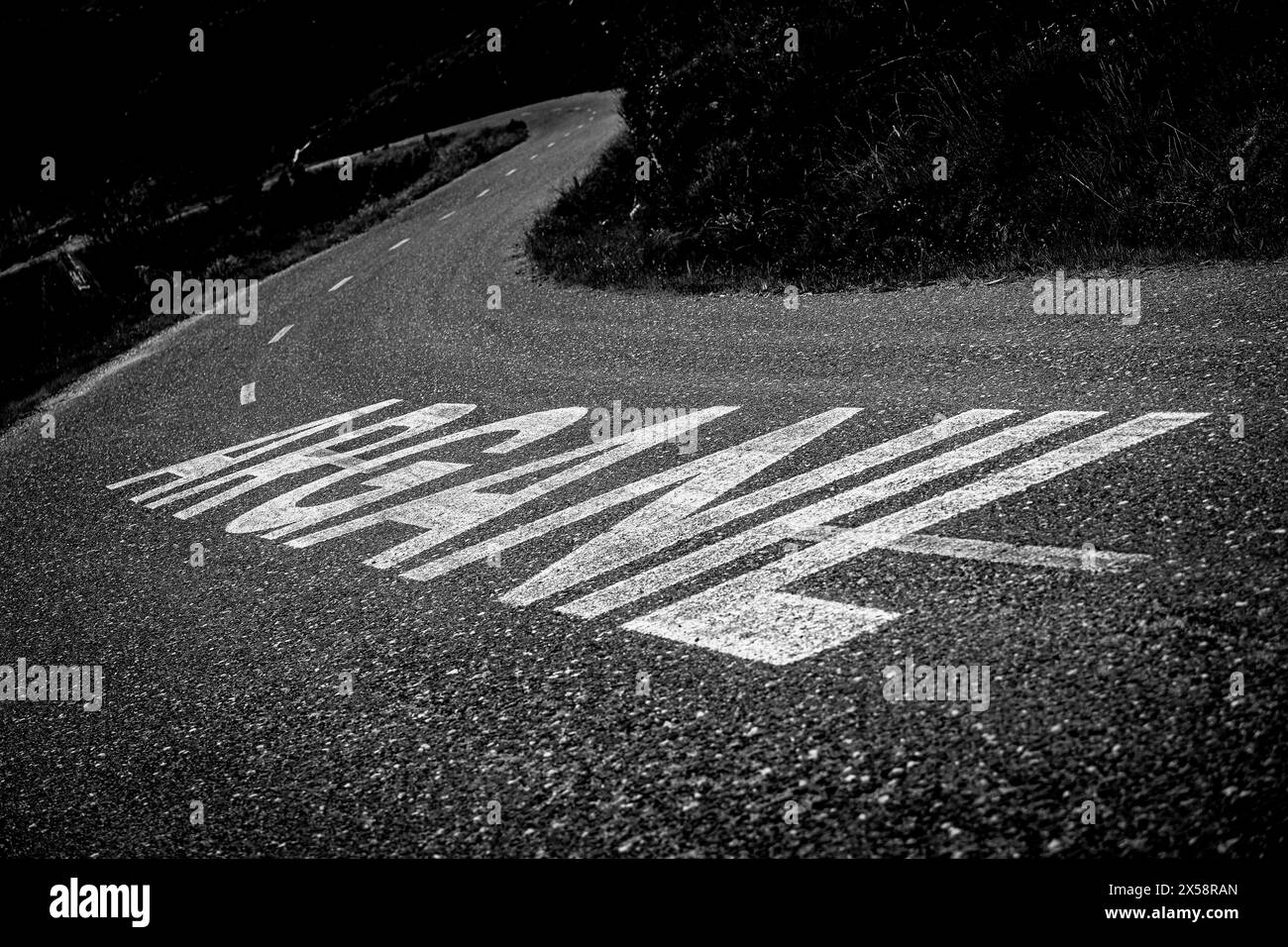 Atmosphere stages, track, during the Rally de, Portugal. , . WRC World ...