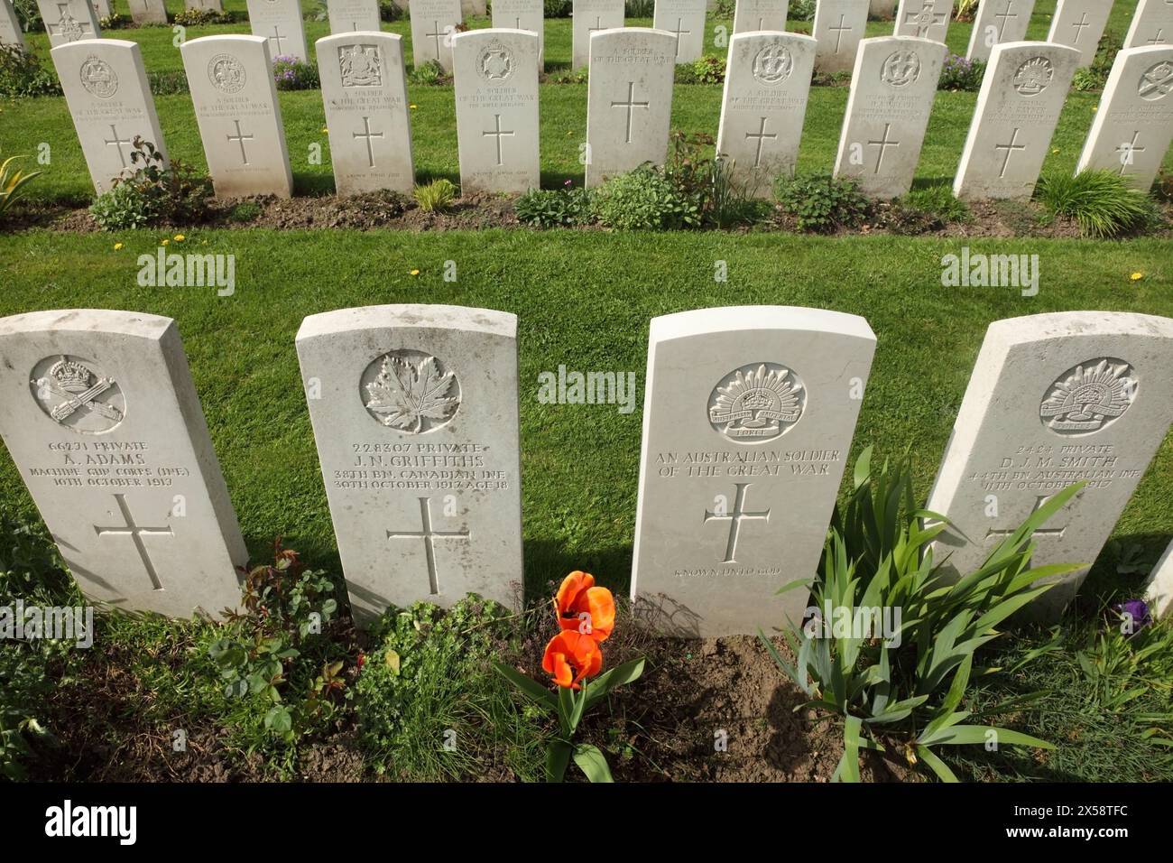 The Tyne Cot British and Commonwealth World War 1 Cemetery, final ...