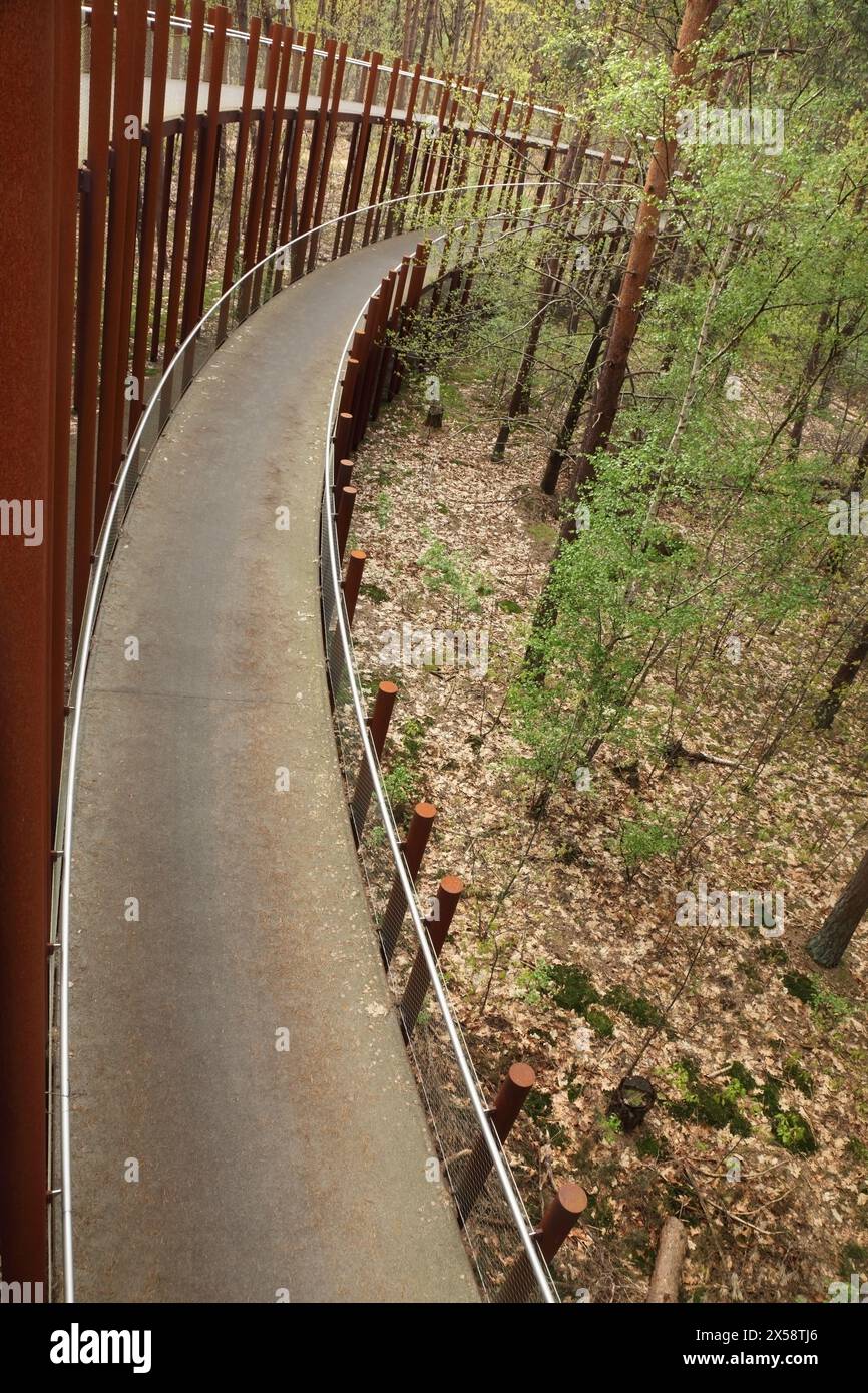 The "Cycling through trees" elevated cycle route in the Bosland ...