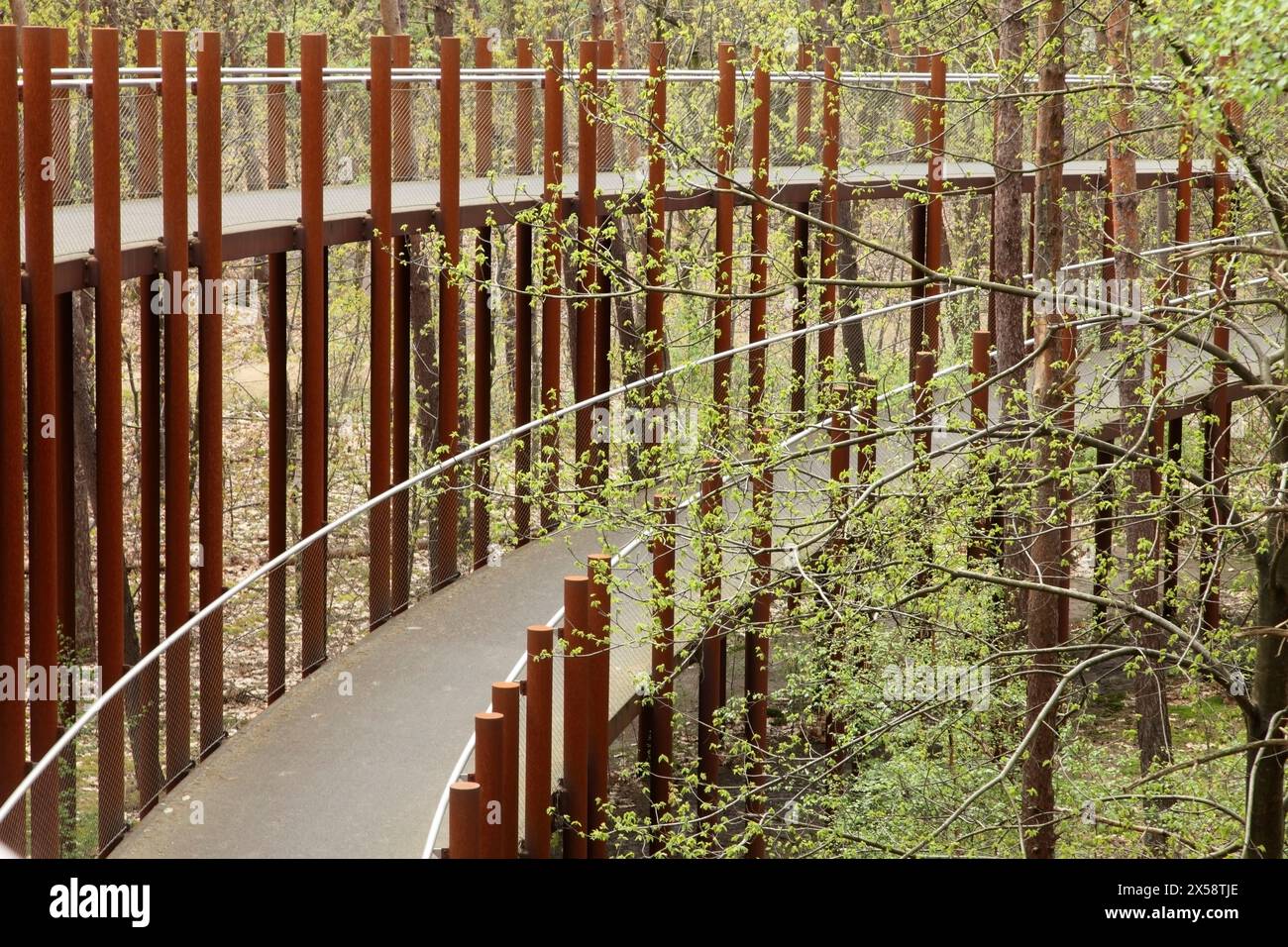 The "Cycling through trees" elevated cycle route in the Bosland ...
