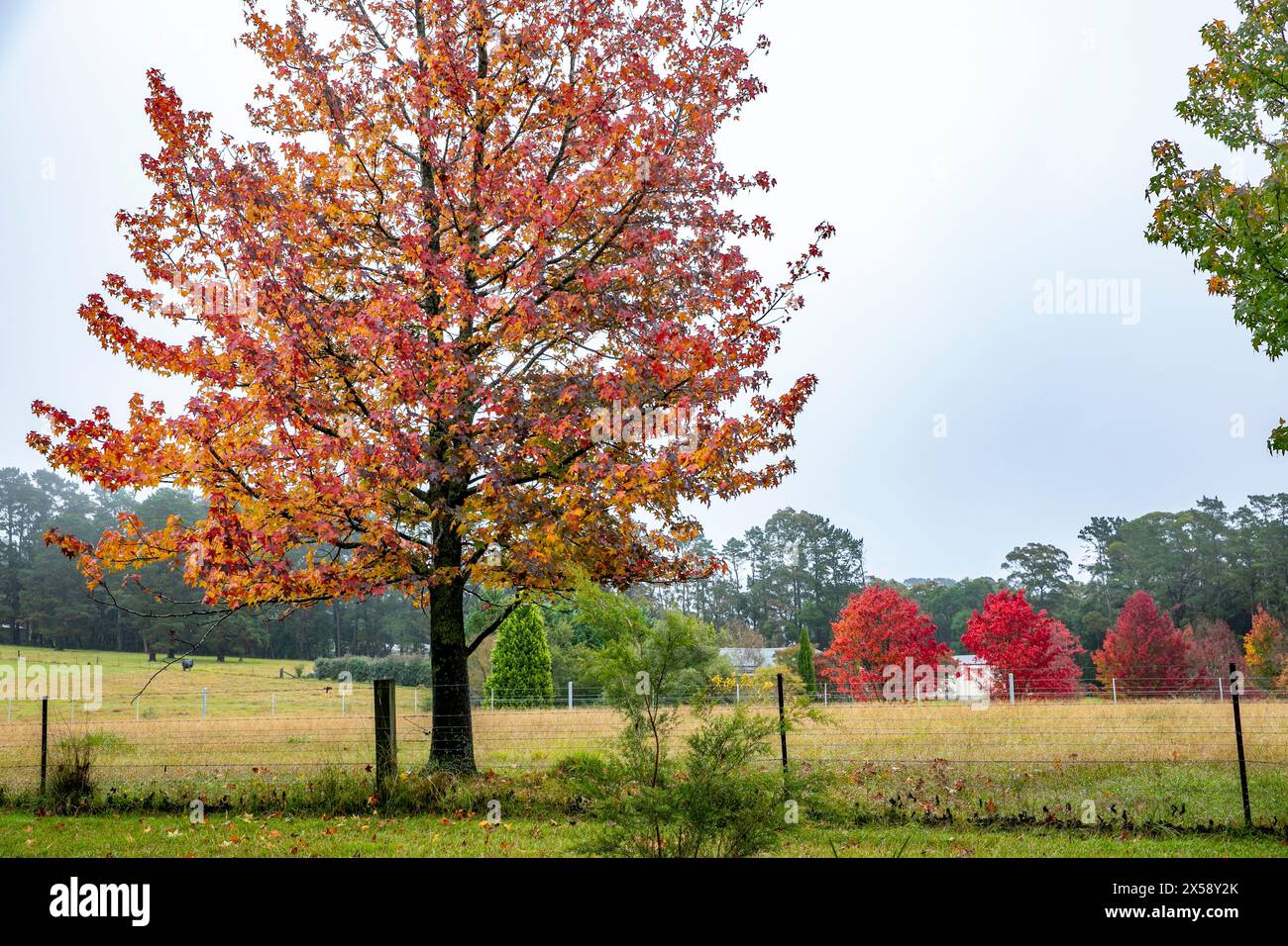 Bilpin town hi-res stock photography and images - Alamy