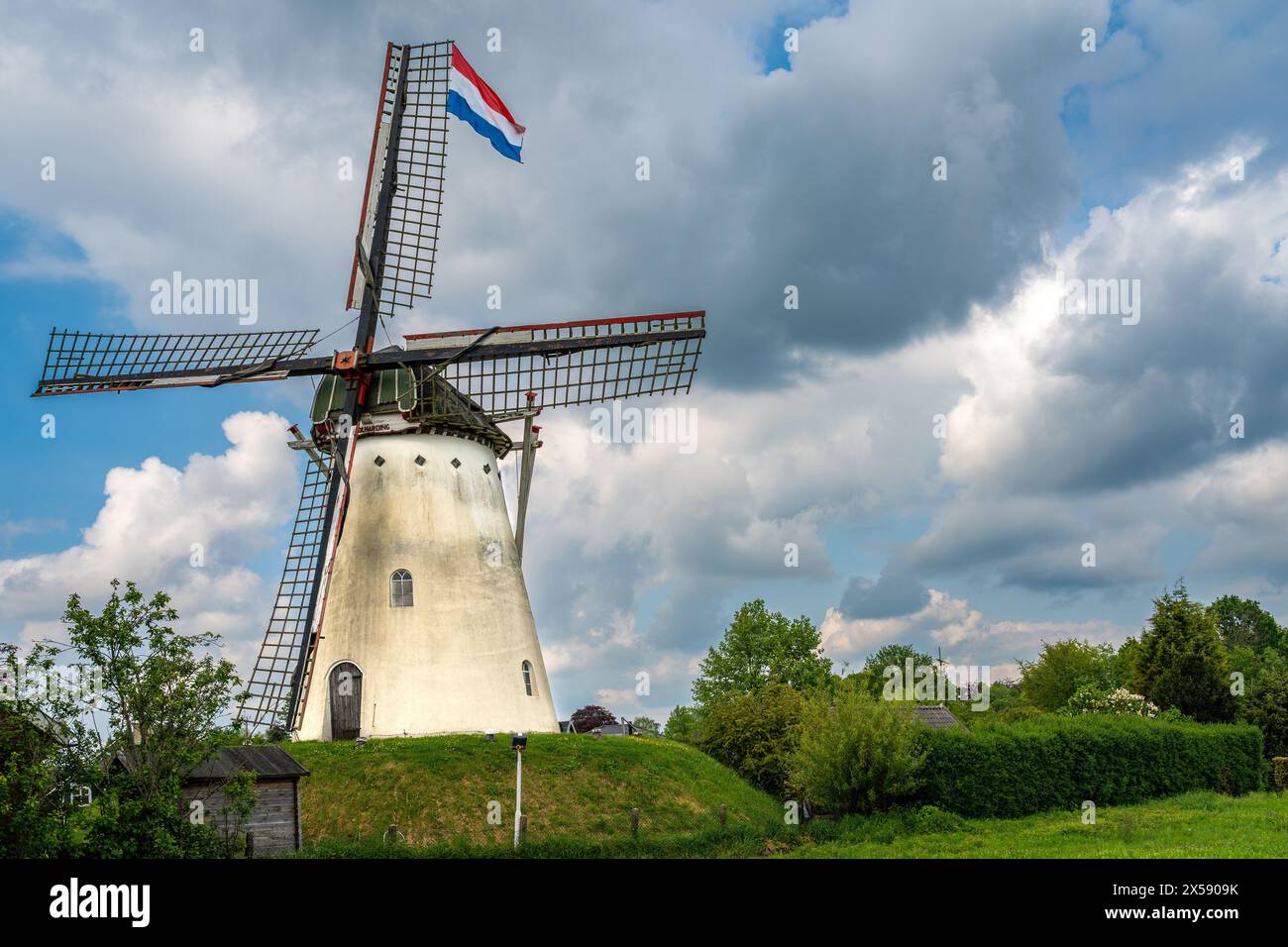 Historical white windmill De Volharding from 1891 in the village of ...