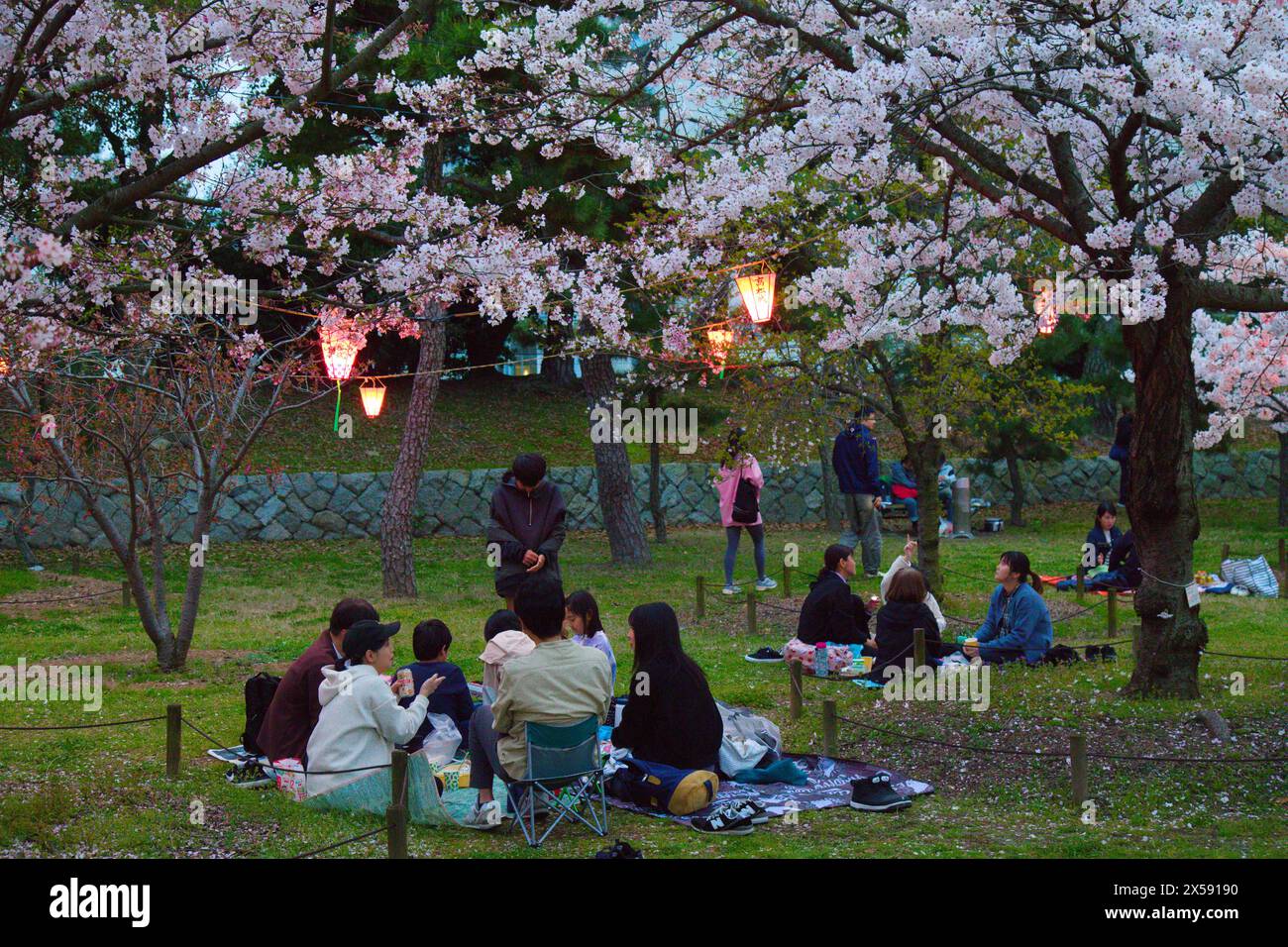 Japan, Shikoku, Takamatsu, cherry blossoms viewing, hanami Stock Photo ...