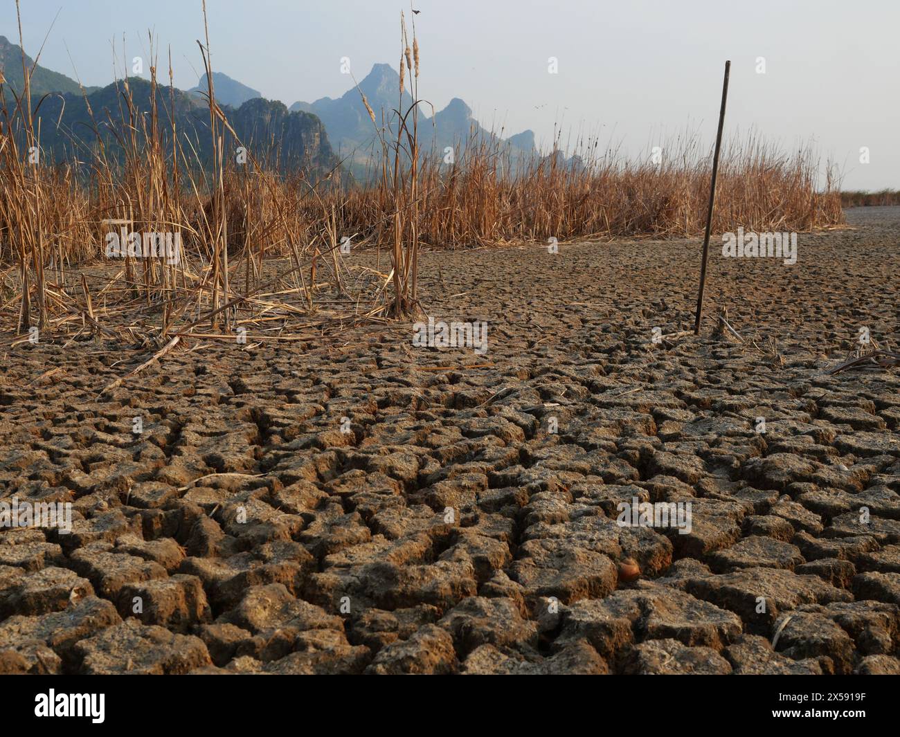 Scorched earth soil drought desert landscape dramatic with mountain in ...