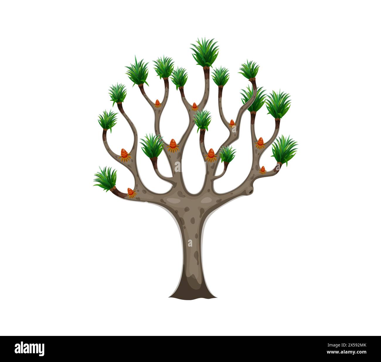 Cartoon jungle rainforest tree. Isolated vector exotic plant with ...