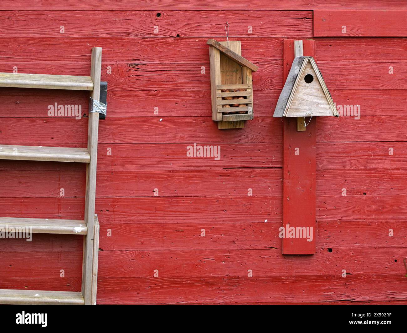 A charming scene unfolds: a brick-red shed adorned with a birdhouse ...