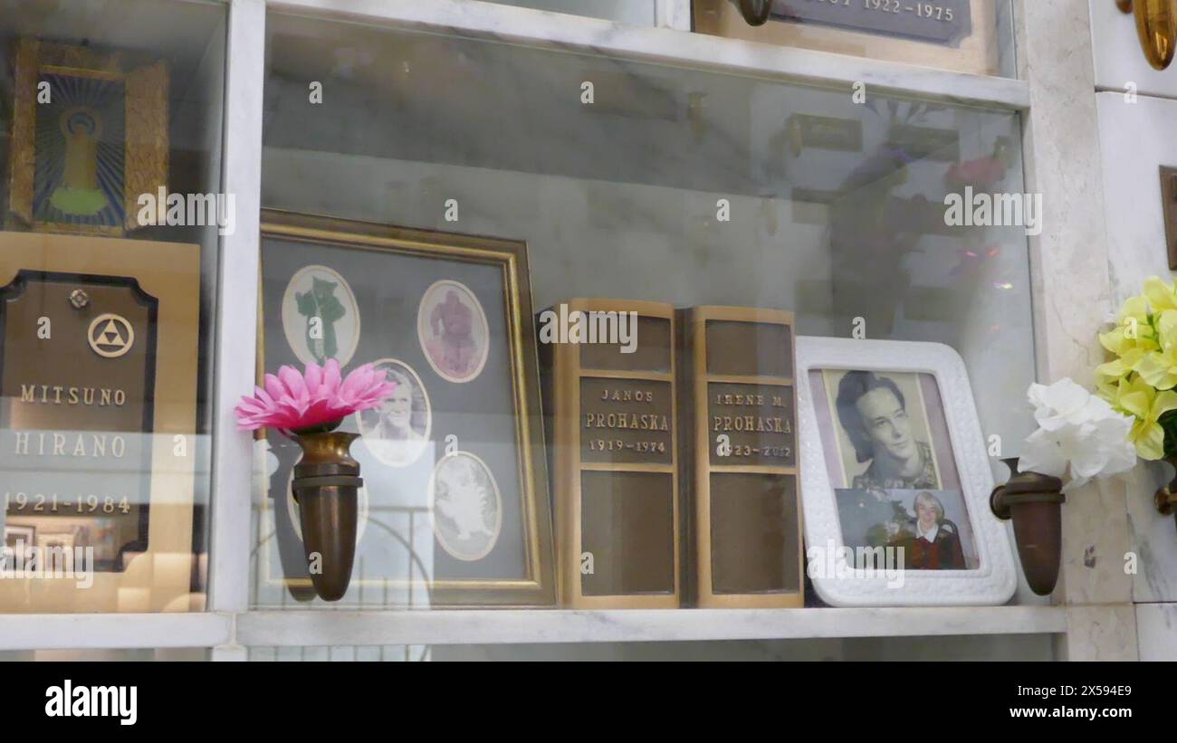 Santa Monica, California, USA 6th May 2024 Actor/Stuntman Janos ...