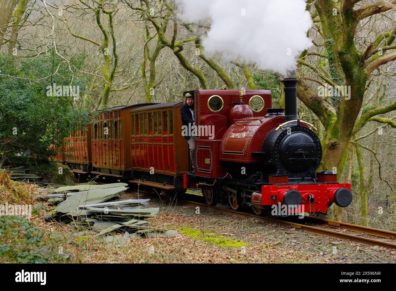 Narrow Gauge, Steam Locomotive, No 1, Tal y Llyn Stock Photo - Alamy